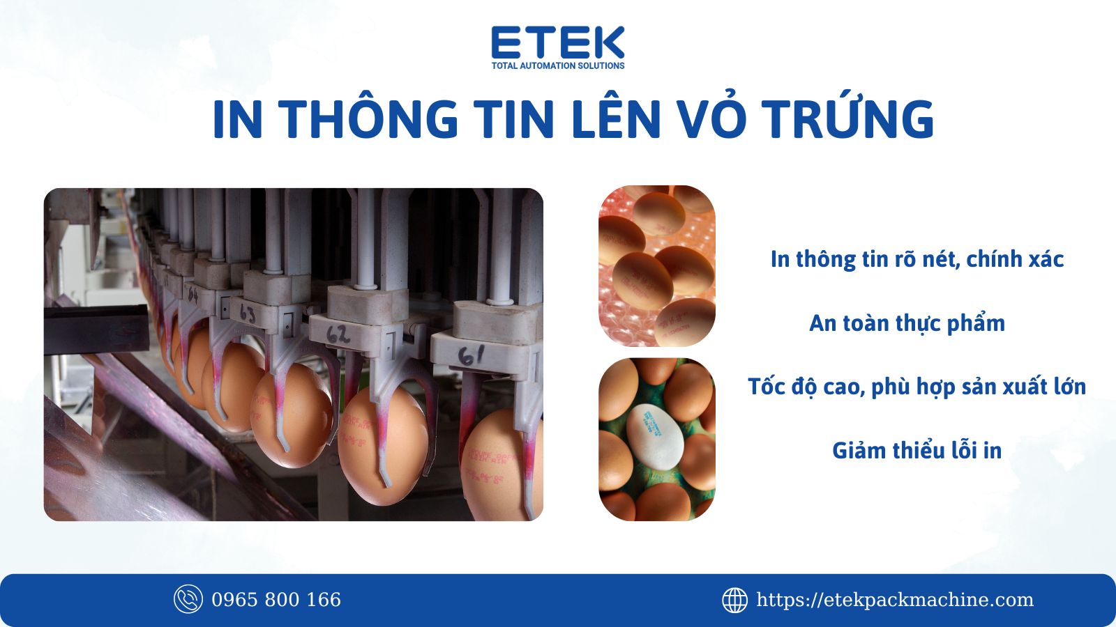 Printing Information on Egg Shells - Packaging Automation Solutions